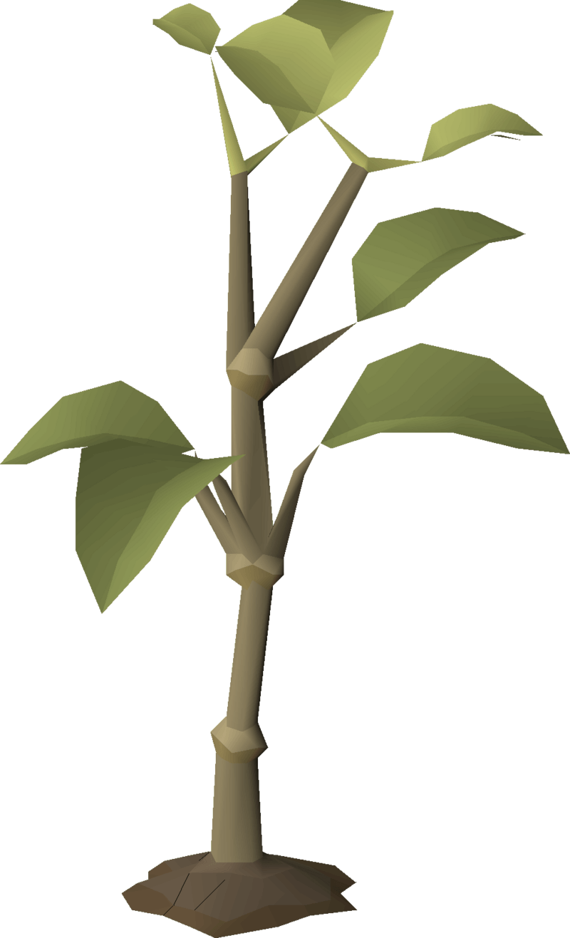 OSRS Farming Guide: From Basics to 99