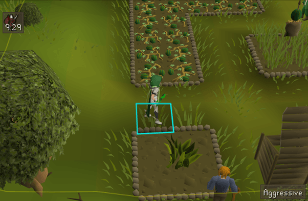 OSRS Perfect Herb Run Guide